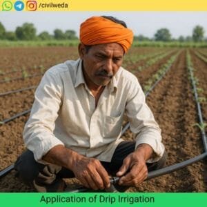 Drip Irrigation Method: Proven Benefits And Cost In India